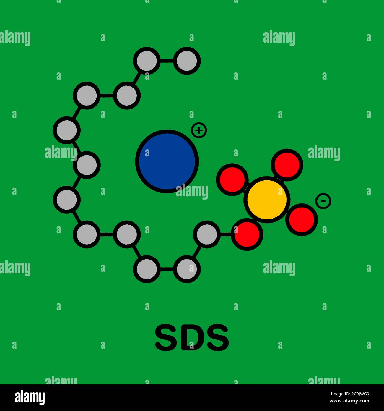 Sodium lauryl sulfate molecule hi-res stock photography and images - Alamy