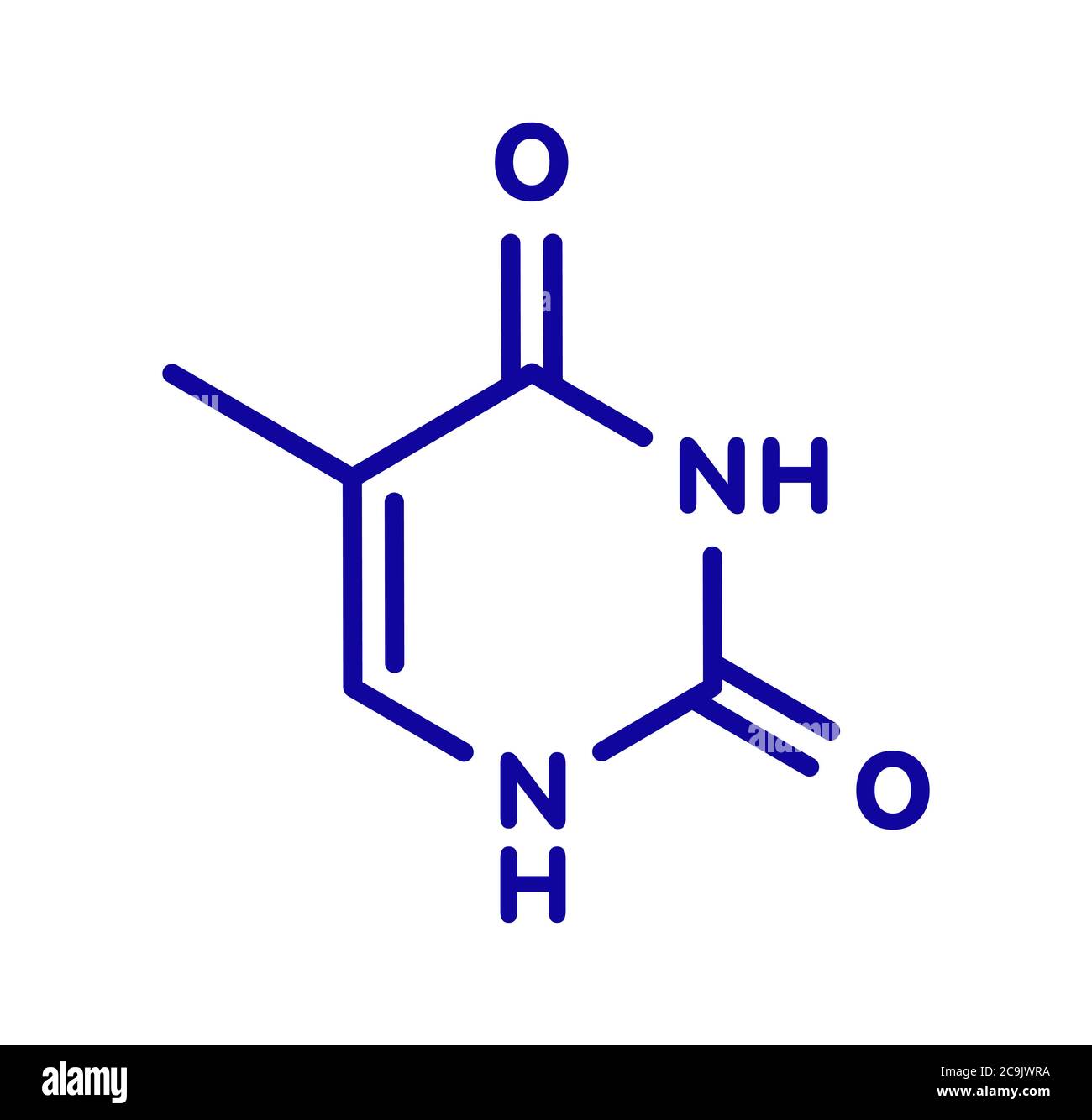 Thymine (T) nucleobase molecule. present in DNA. Blue skeletal formula ...