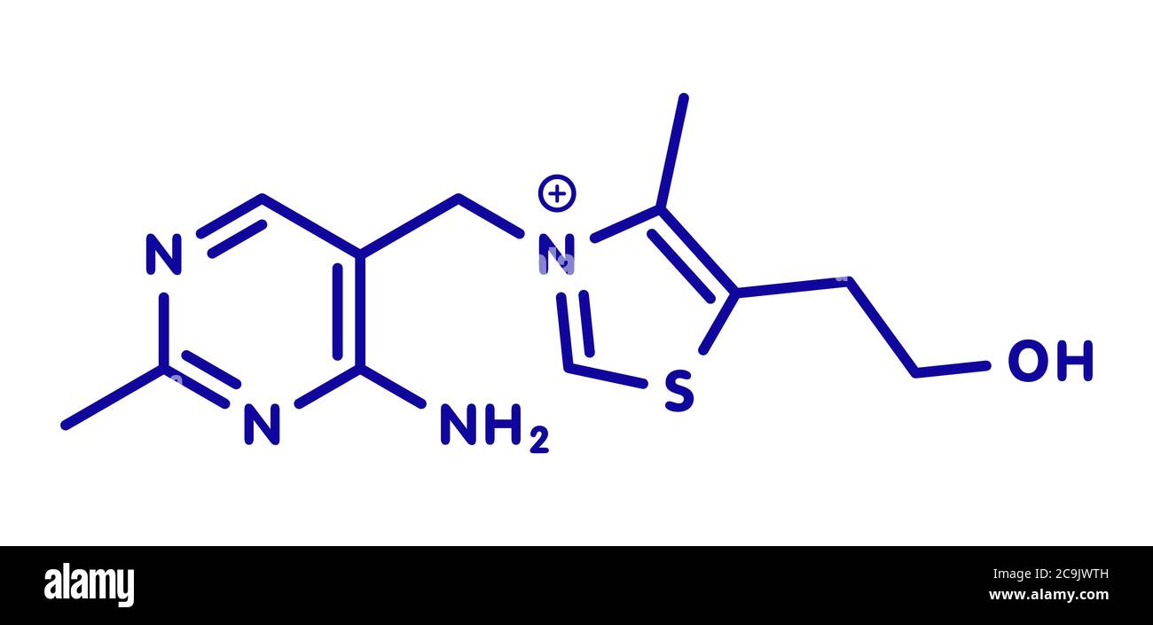 Thiamine triphosphate molecule. Blue skeletal formula on white ...