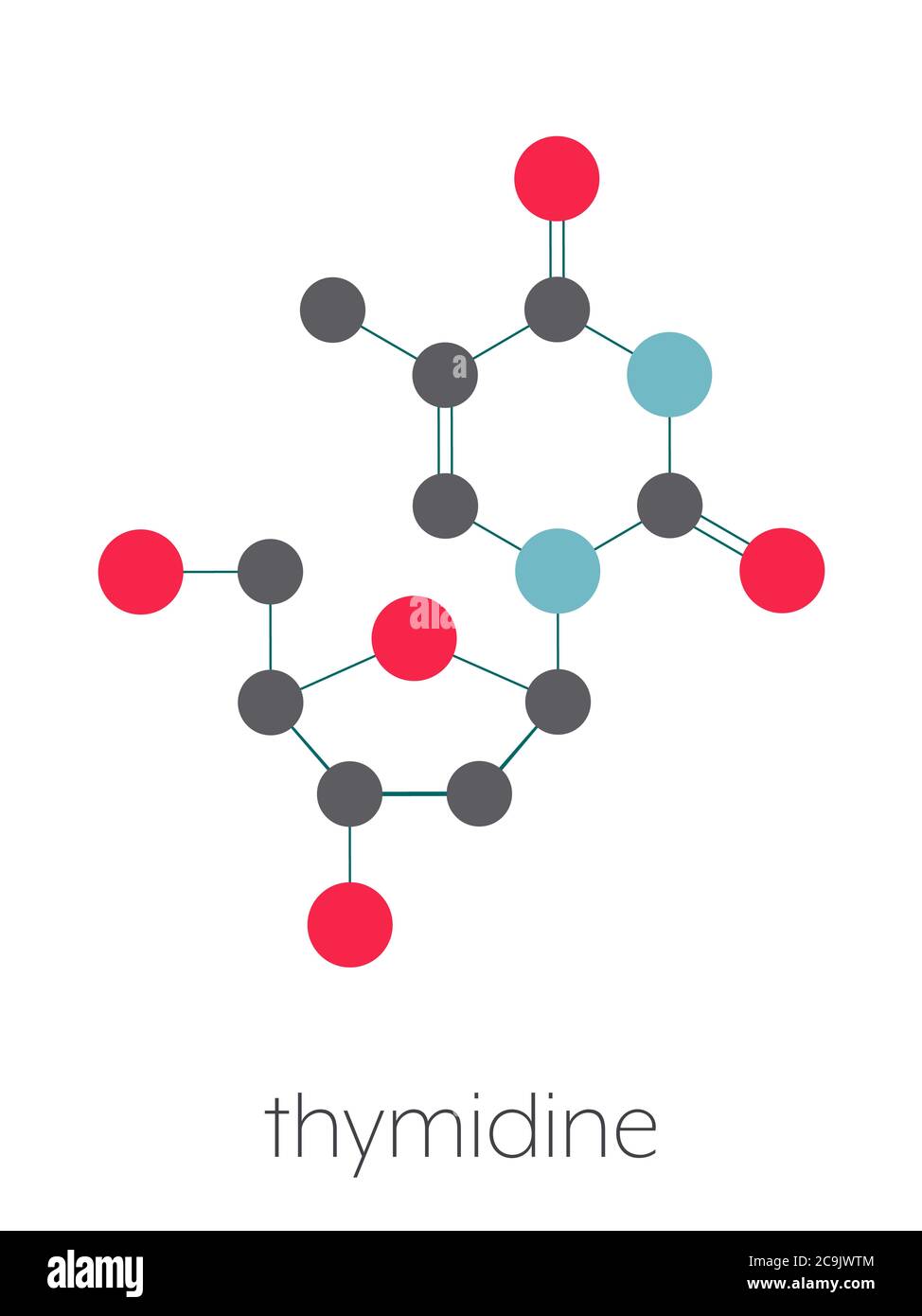 Thymidine nucleoside molecule hi-res stock photography and images - Alamy