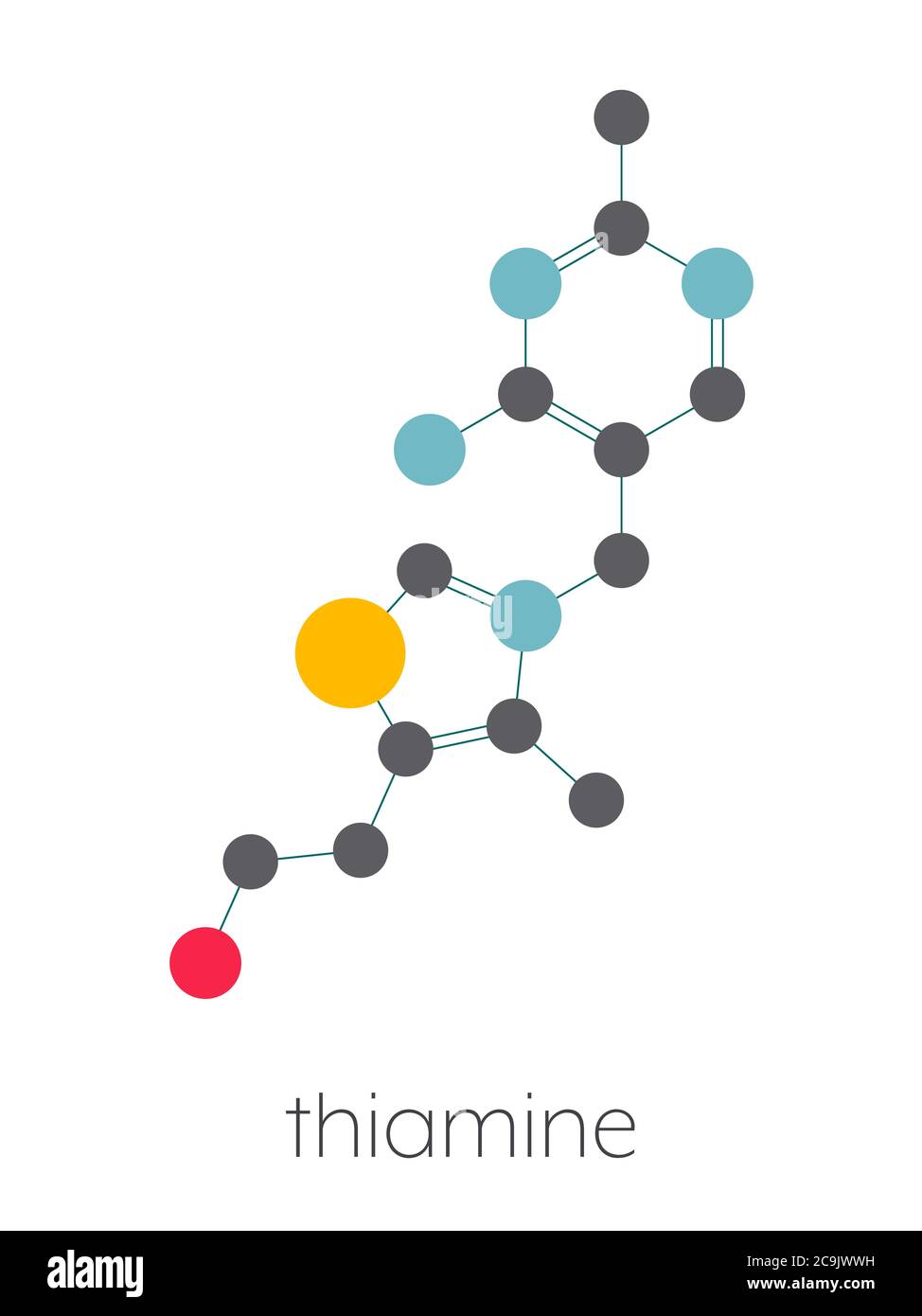 Thiamine triphosphate molecule. Stylized skeletal formula (chemical ...