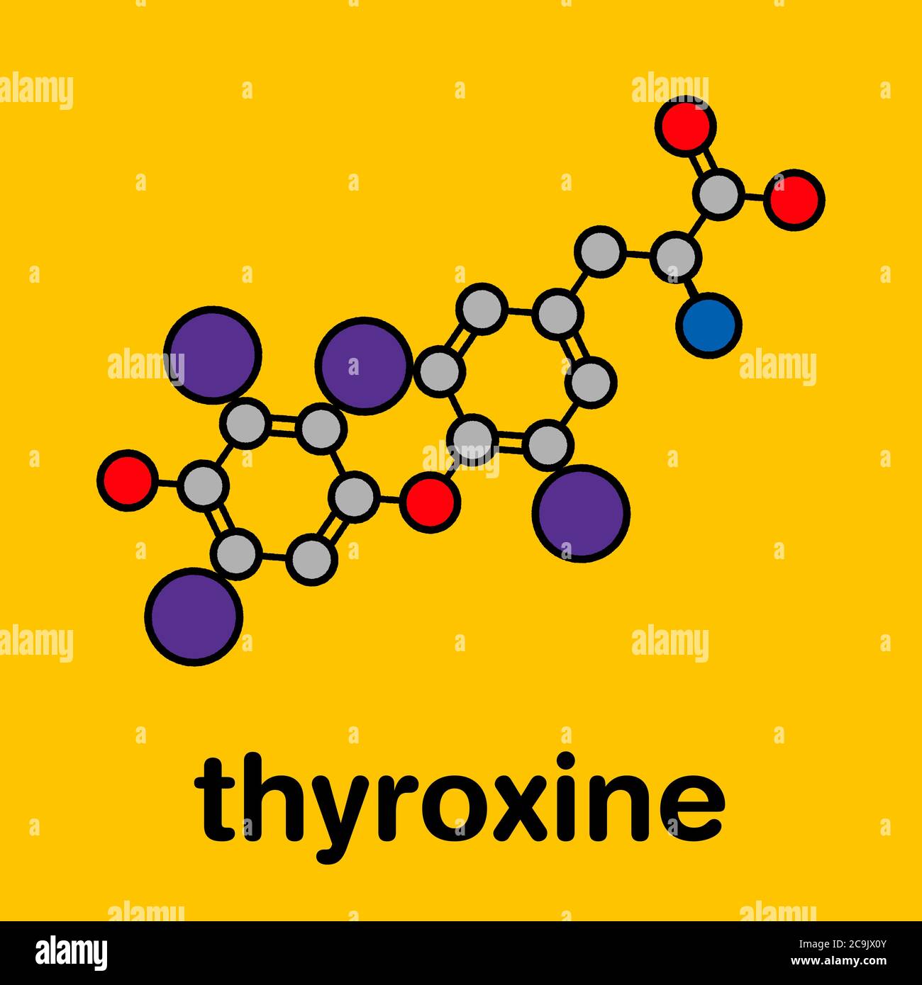 Thyroxine T4 Levothyroxine Thyroid Hormone Molecule Prohormone Of