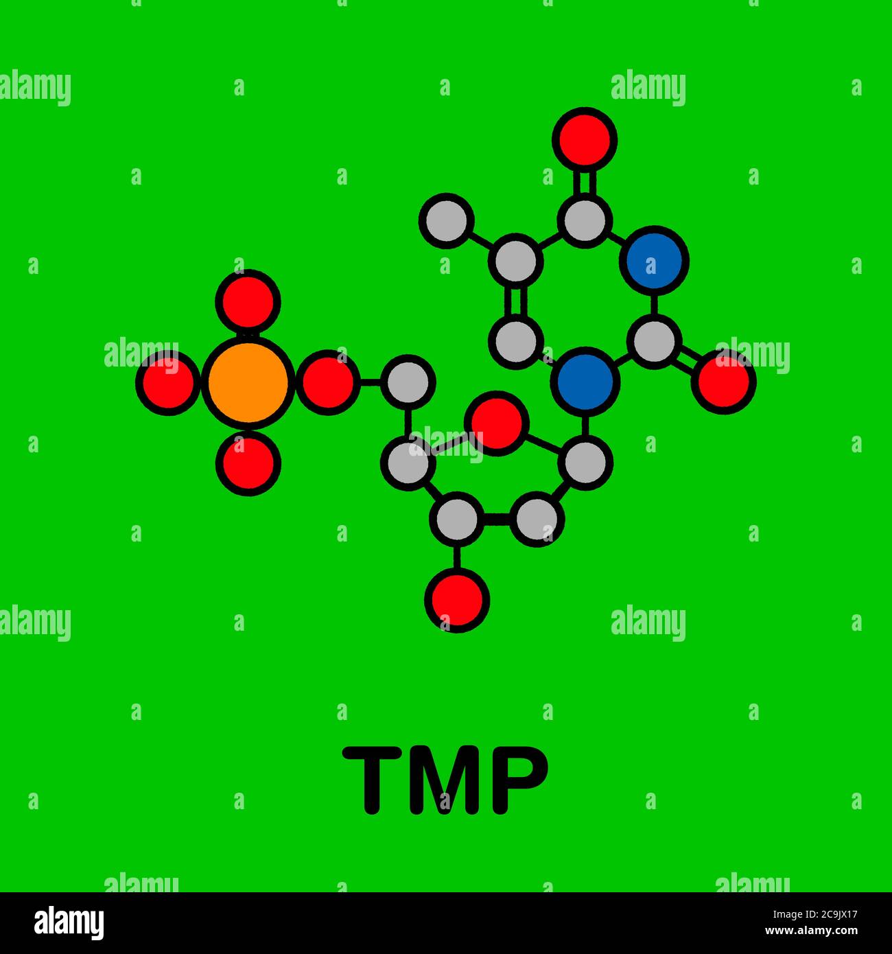 Thymidine monophosphate nucleotide molecule hi-res stock photography ...