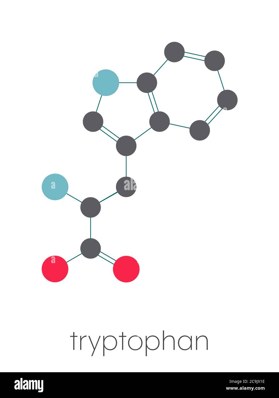 Tryptophan (l-tryptophan, Trp, W) amino acid molecule. Stylized ... Tryptophan (l-tryptophan, Trp, W) amino acid molecule. Stylized ...