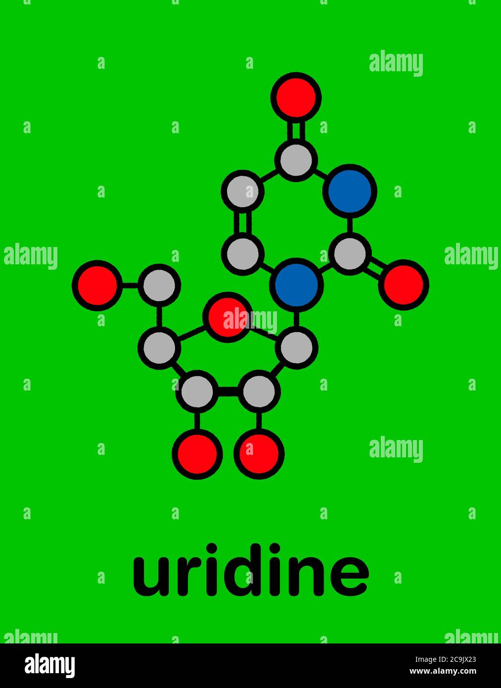 Uridine nucleoside molecule. Building block of RNA. Stylized skeletal ...
