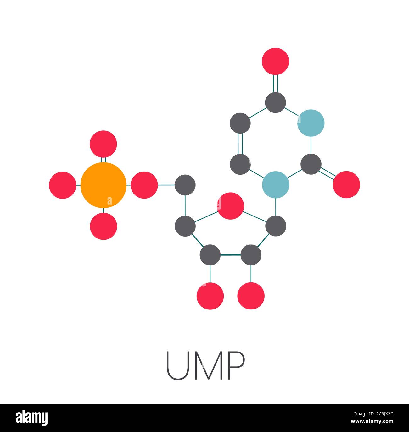 Uridine monophosphate nucleotide molecule hi-res stock photography and ...