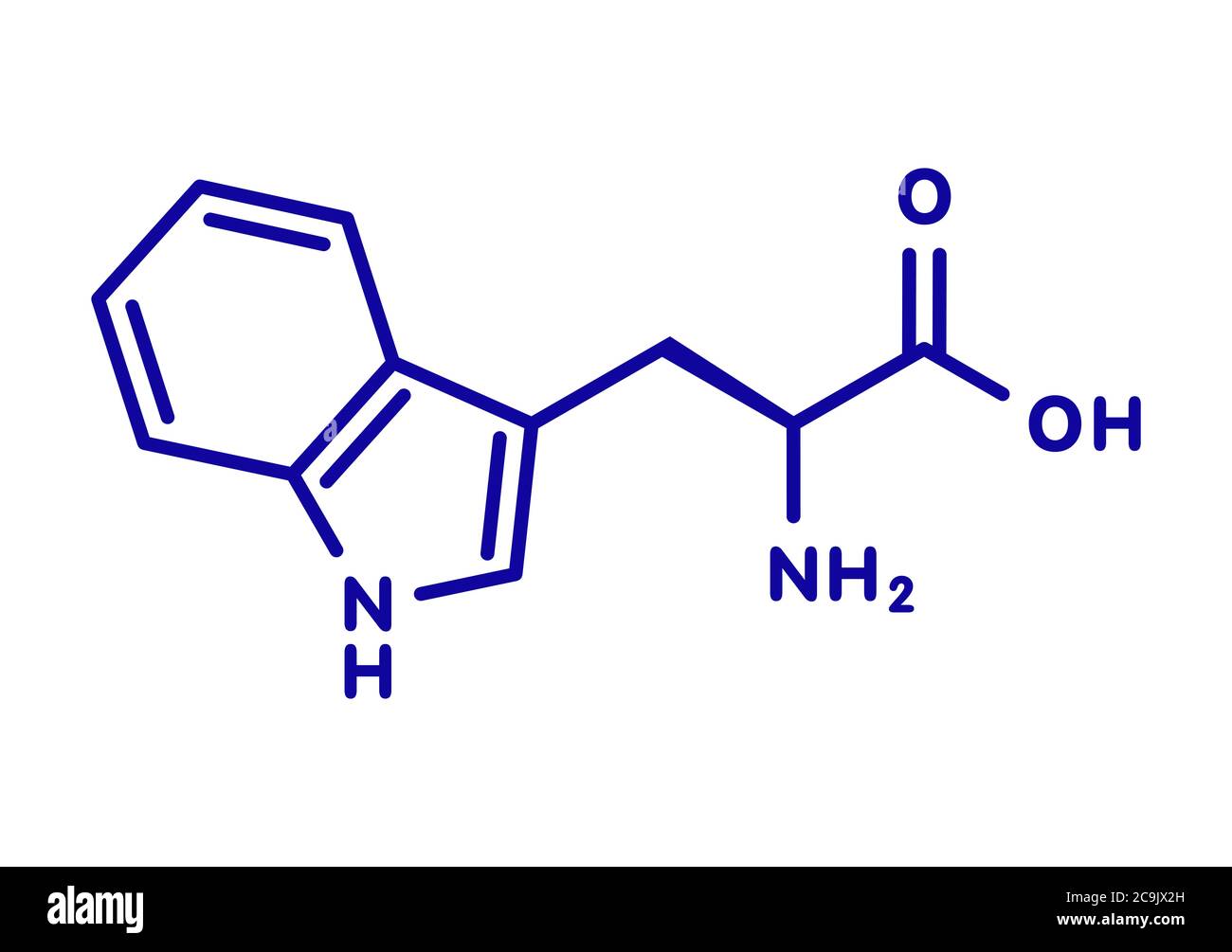 Tryptophan (l-tryptophan, Trp, W) amino acid molecule. Blue skeletal ...