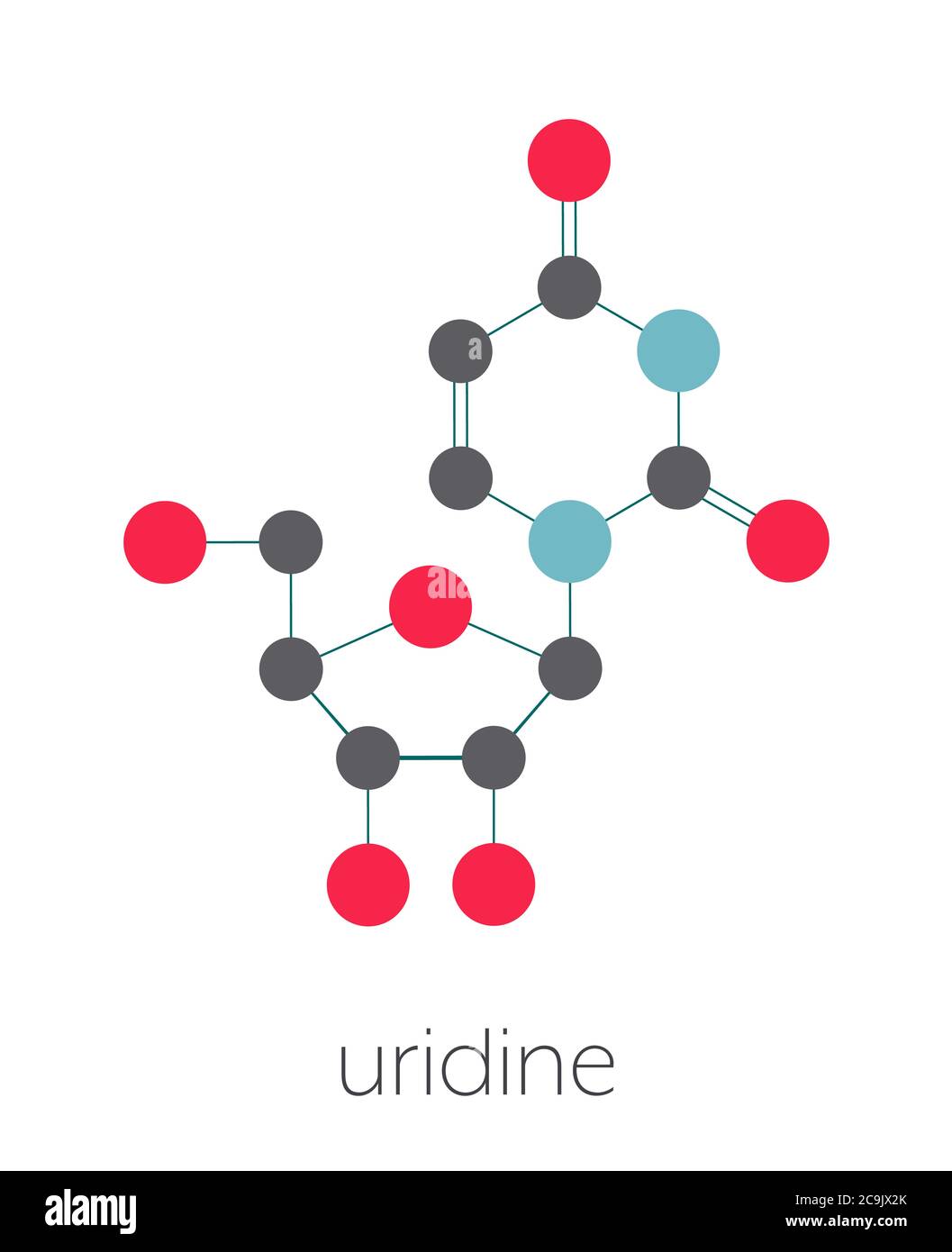 Uridine nucleoside molecule. Building block of RNA. Stylized skeletal ...