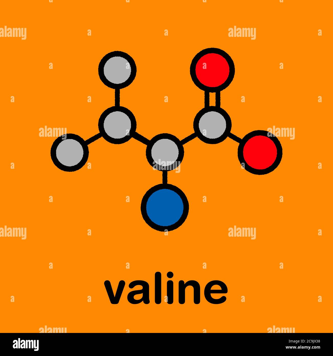 Valine (l-valine, Val, V) amino acid molecule. Stylized skeletal ...