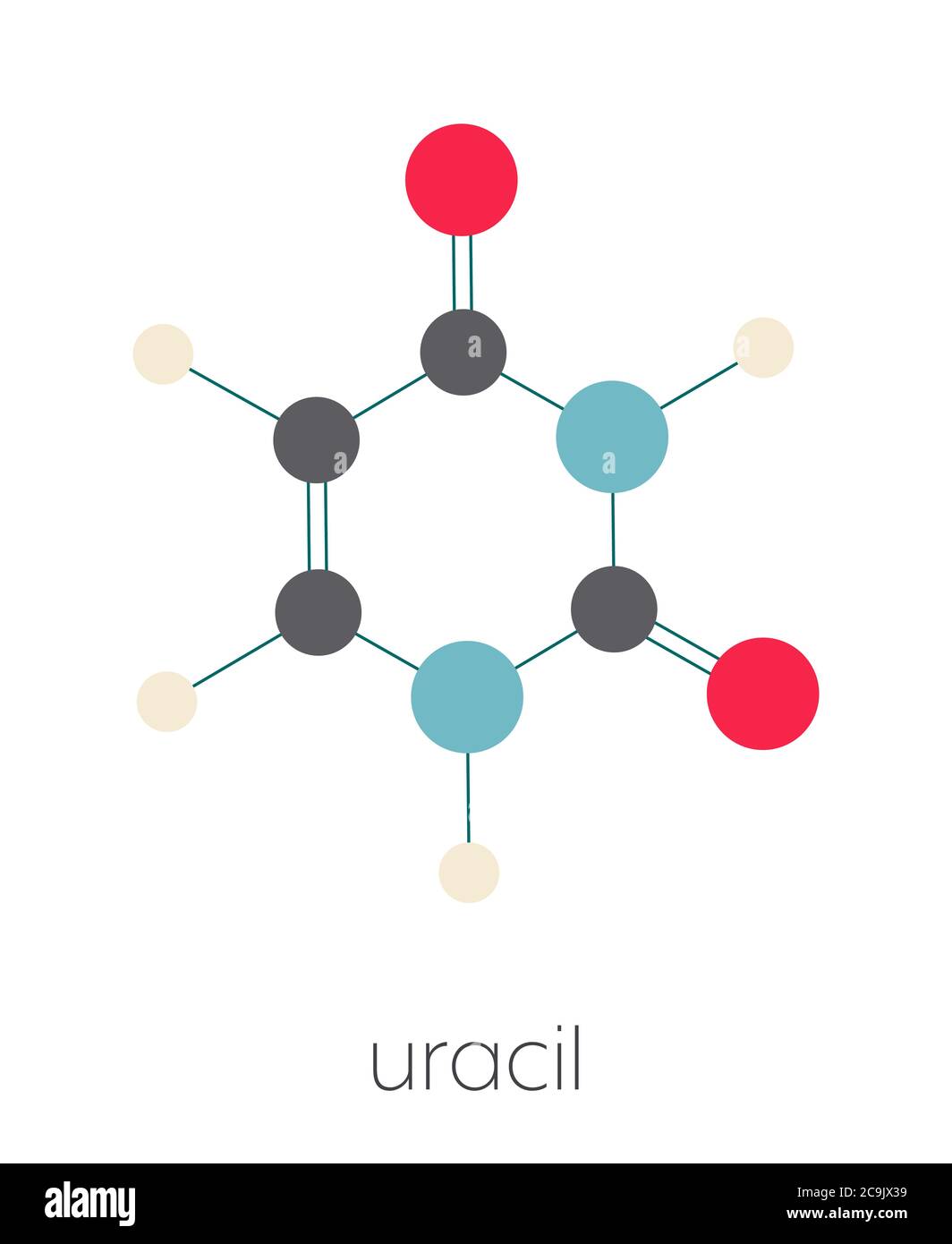 Uracil (U) nucleobase molecule. Present in ribonucleic acid (RNA ...