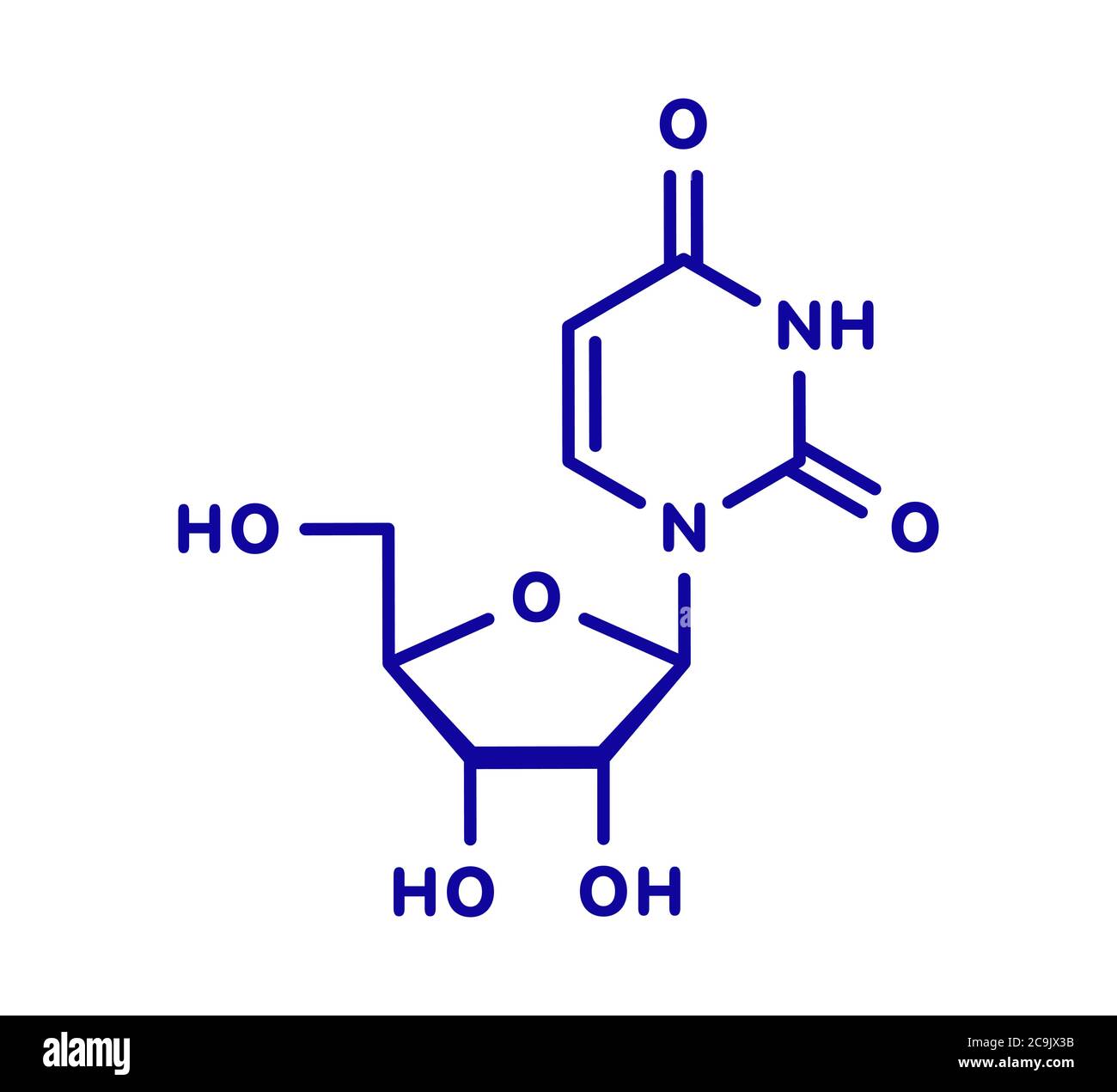 Uridine nucleoside molecule. Building block of RNA. Blue skeletal ...