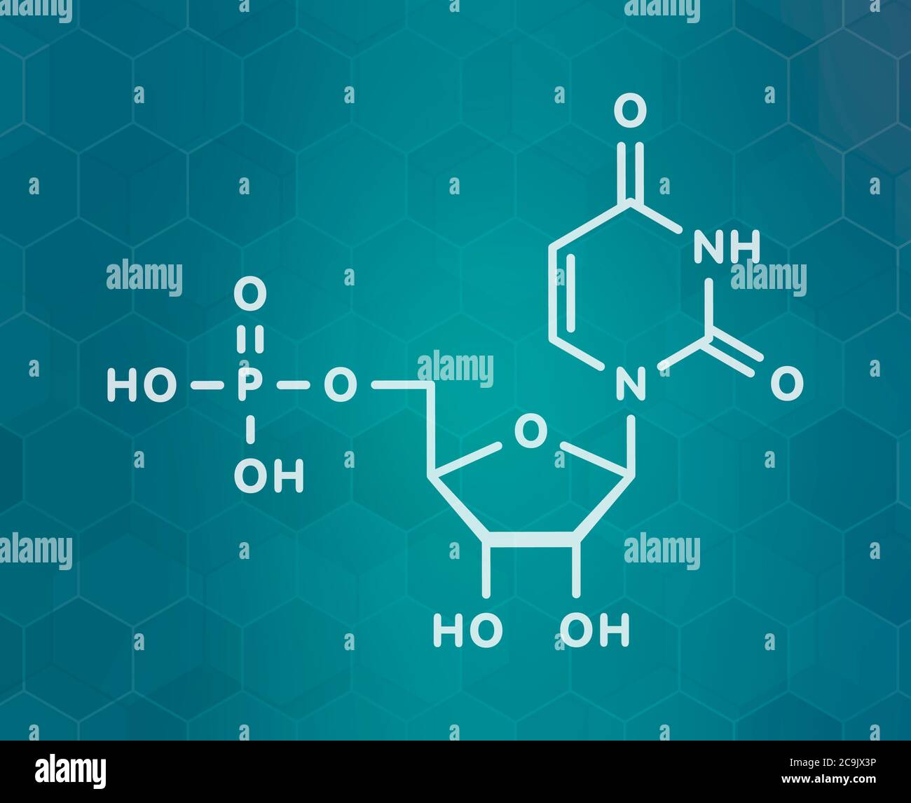 Uridine Monophosphate Ump Uridylic Acid Nucleotide Molecule