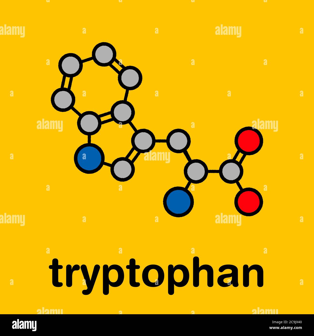 Tryptophan L Tryptophan Trp W Amino Acid Molecule Stylized