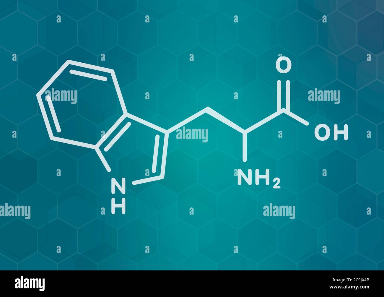 Tryptophan (l-tryptophan, Trp, W) amino acid molecule. White skeletal ...