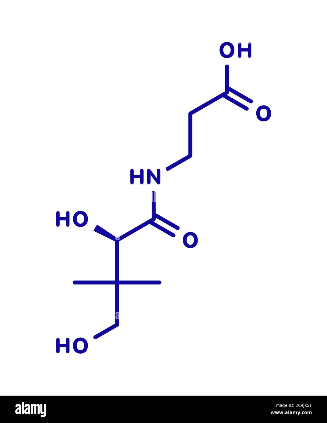 Vitamin B5 (pantothenic acid, pantothenate) molecule. Blue skeletal ...
