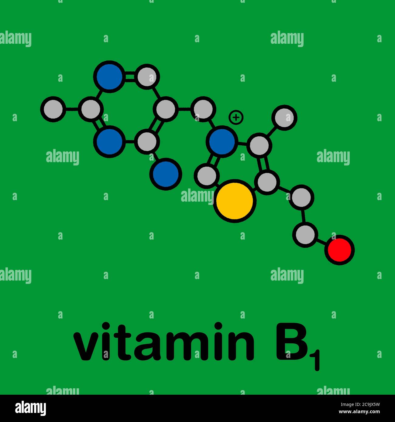 Vitamin B1 (thiamine) molecule. Stylized skeletal formula (chemical ... Vitamin B1 (thiamine) molecule. Stylized skeletal formula (chemical ...