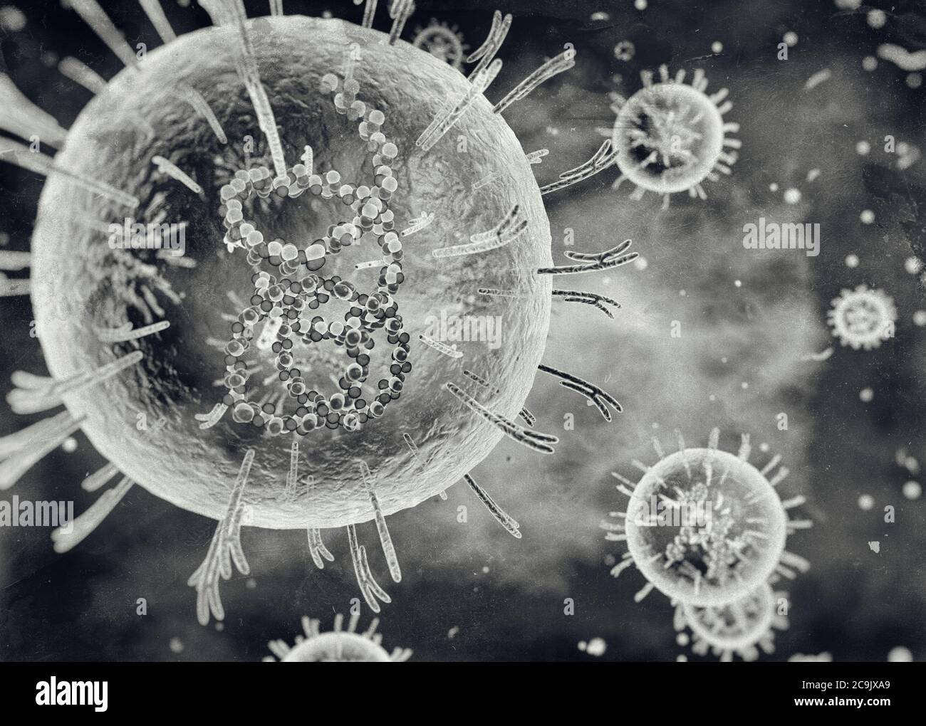 Lassa virus, cut-away illustration. Lassa virus consists of an RNA ...