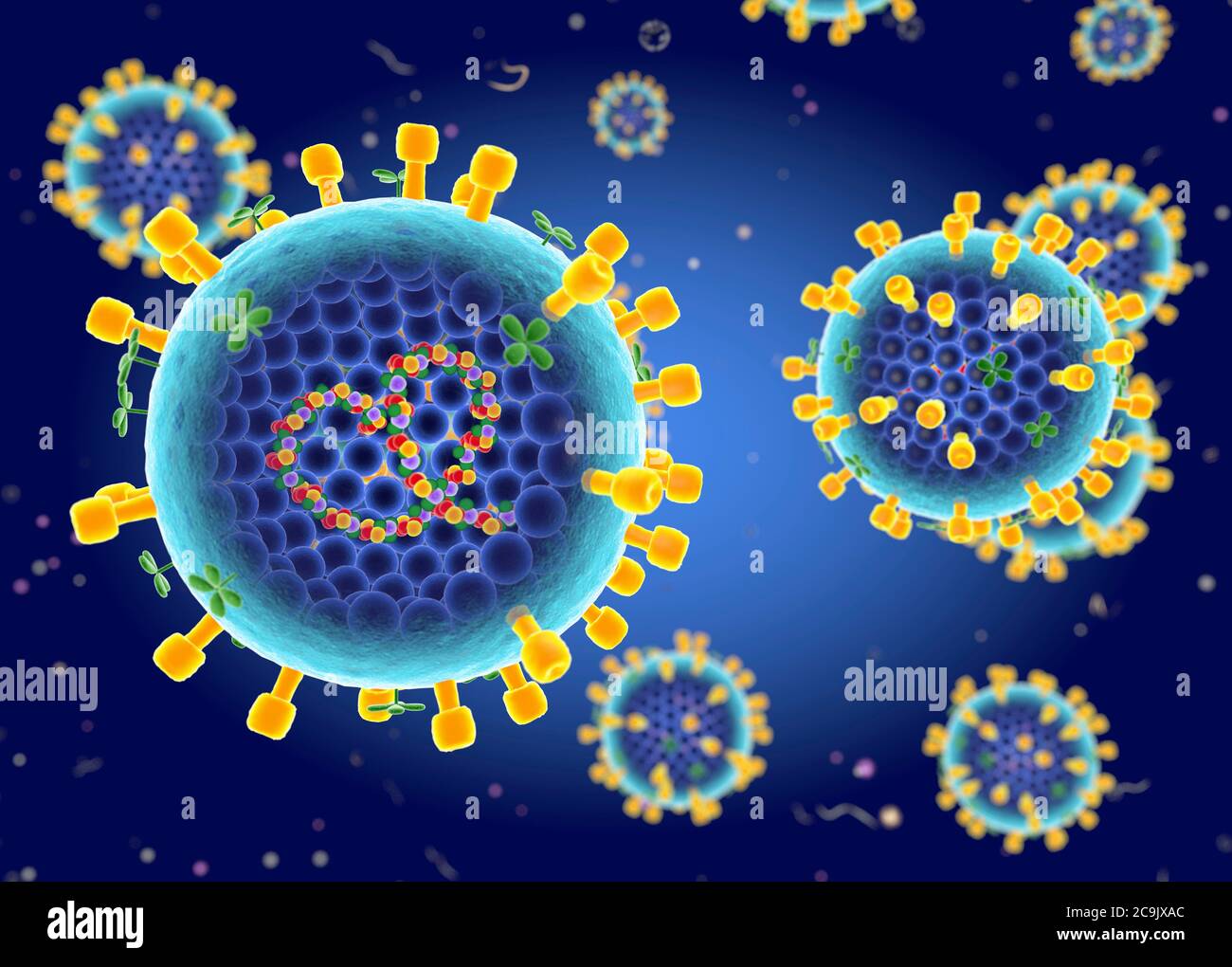 Influenza A virus, cut-away illustration. Influenza virus type A is a ...