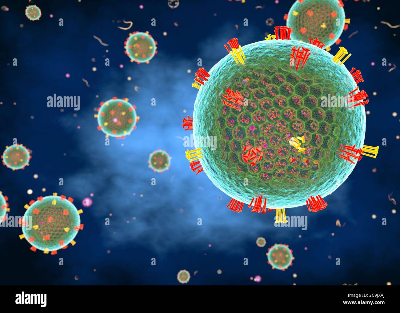 Measles virus, illustration. Measles virus. This virus, from the ...