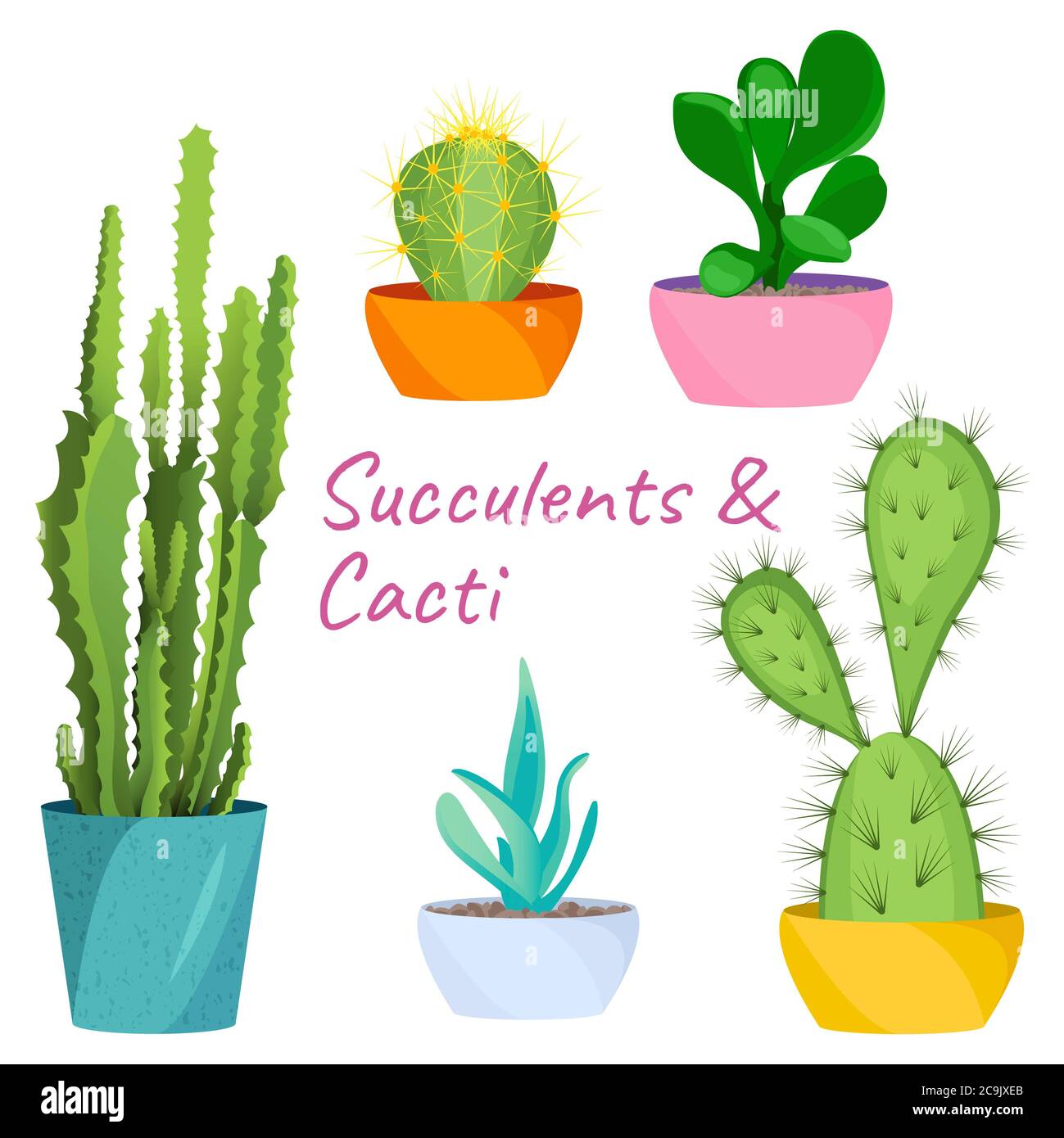 Set of succulents hi-res stock photography and images - Alamy