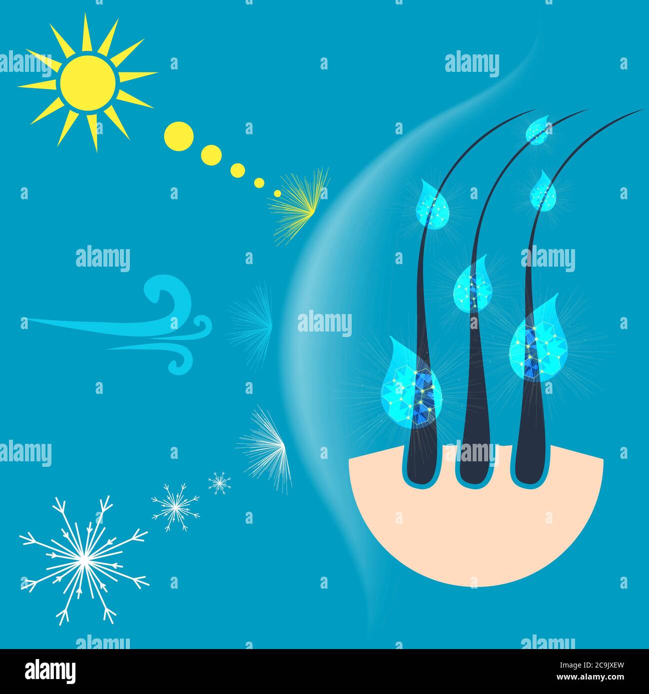 Hair protection, conceptual illustration Stock Photo - Alamy