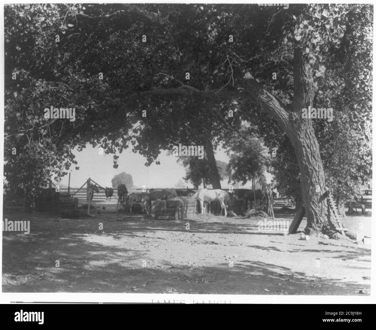 James ranch Black and White Stock Photos & Images - Alamy