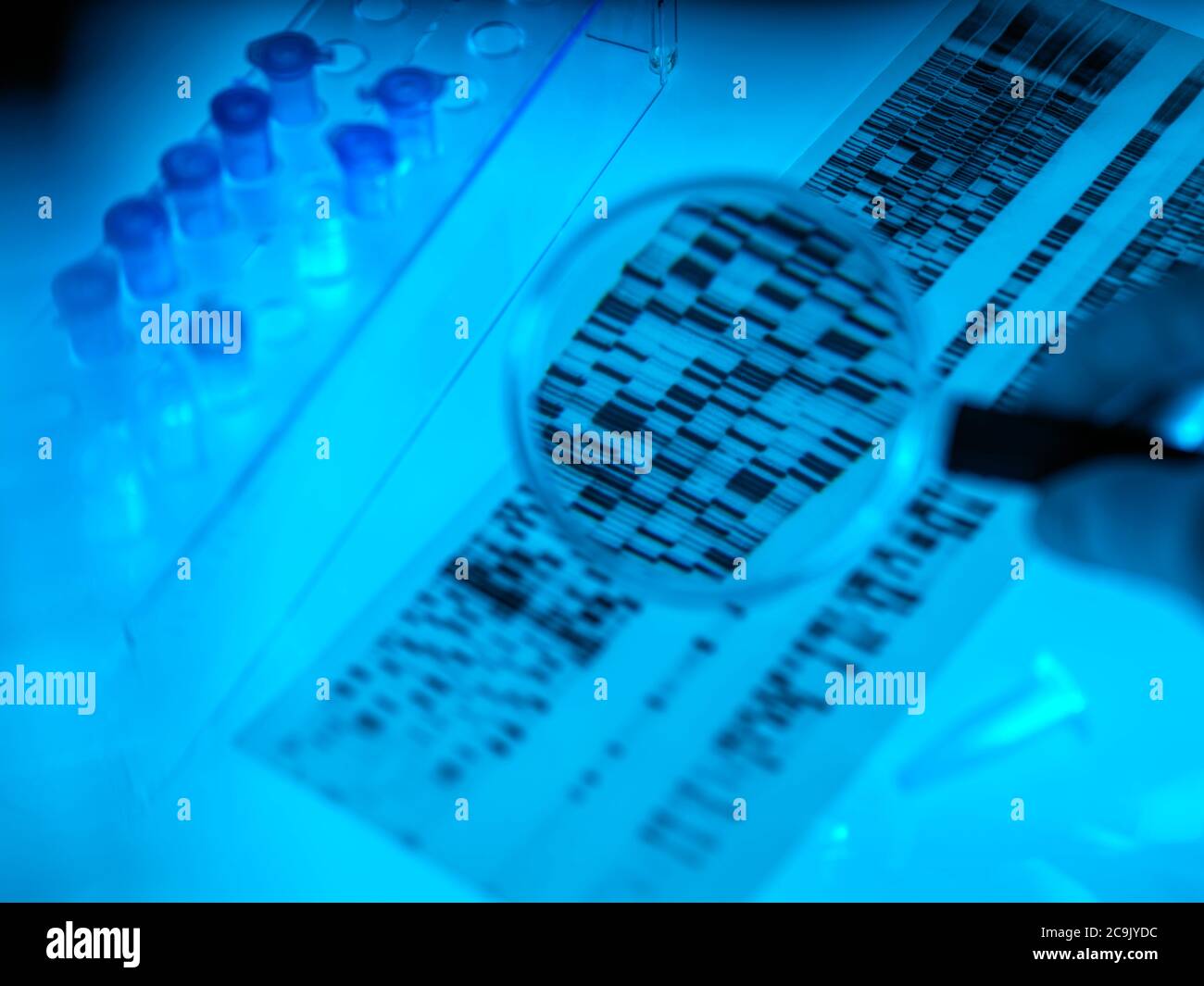 Scientist using a magnifying glass to view banding on a DNA ...