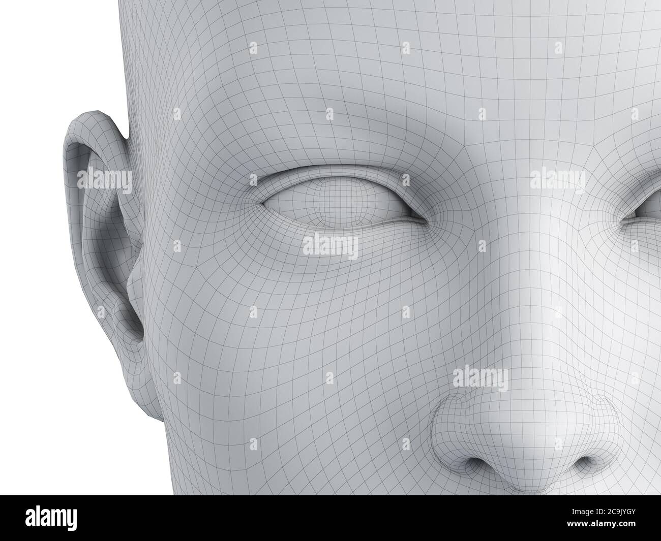 Nose Wireframe