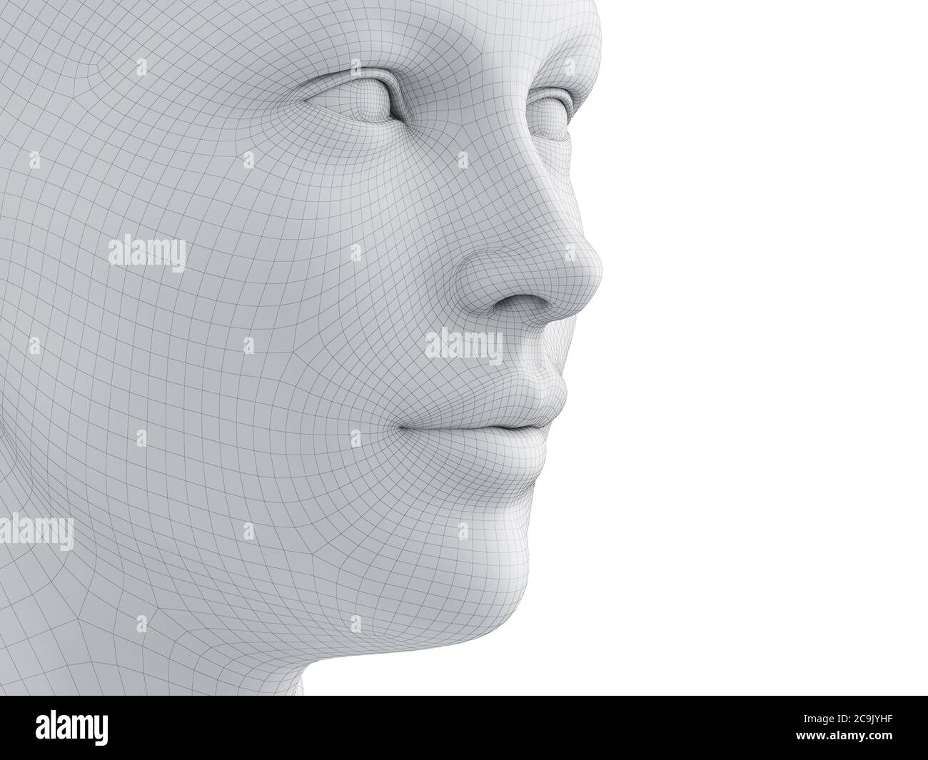 Female wireframe face, illustration Stock Photo - Alamy