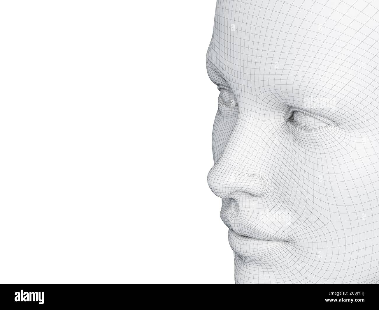 Female wireframe face, illustration Stock Photo - Alamy