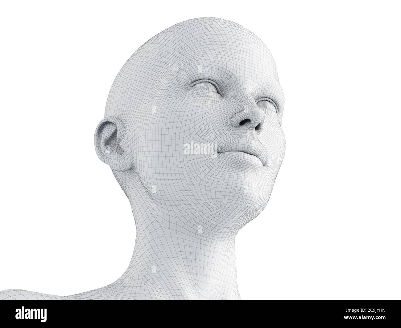 Female wireframe head, illustration Stock Photo - Alamy