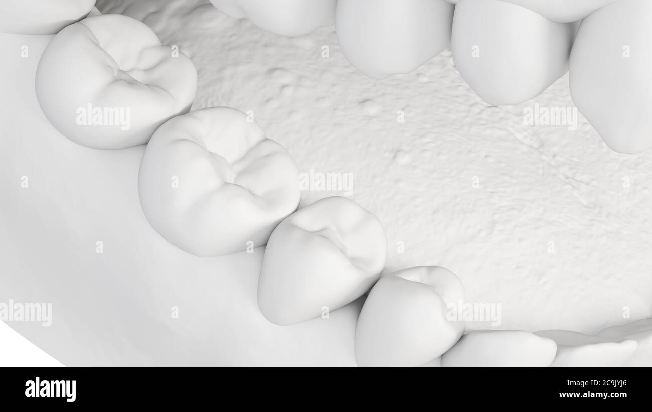 Human teeth, illustration Stock Photo - Alamy