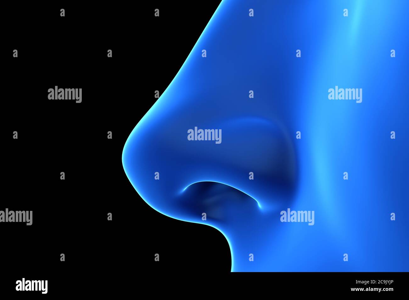 Female nose, illustration Stock Photo - Alamy