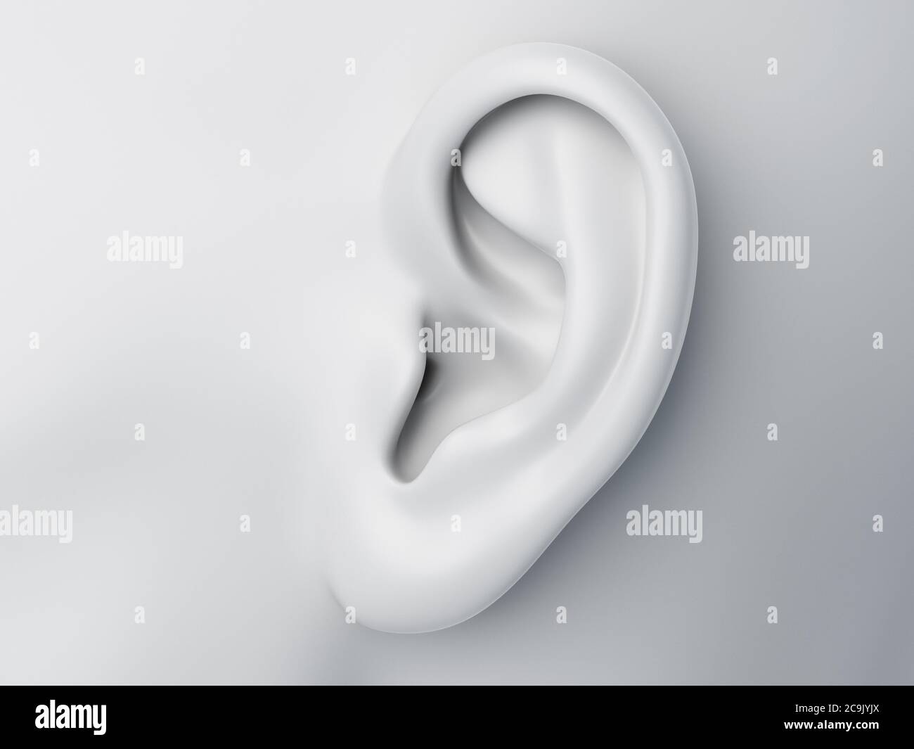 Female ear, illustration Stock Photo - Alamy