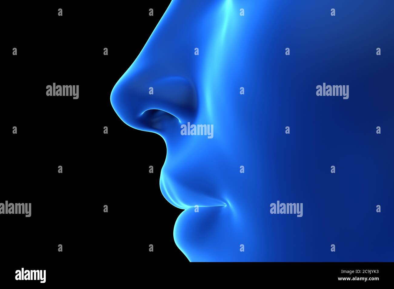 Nose anatomy illustration hi-res stock photography and images - Alamy