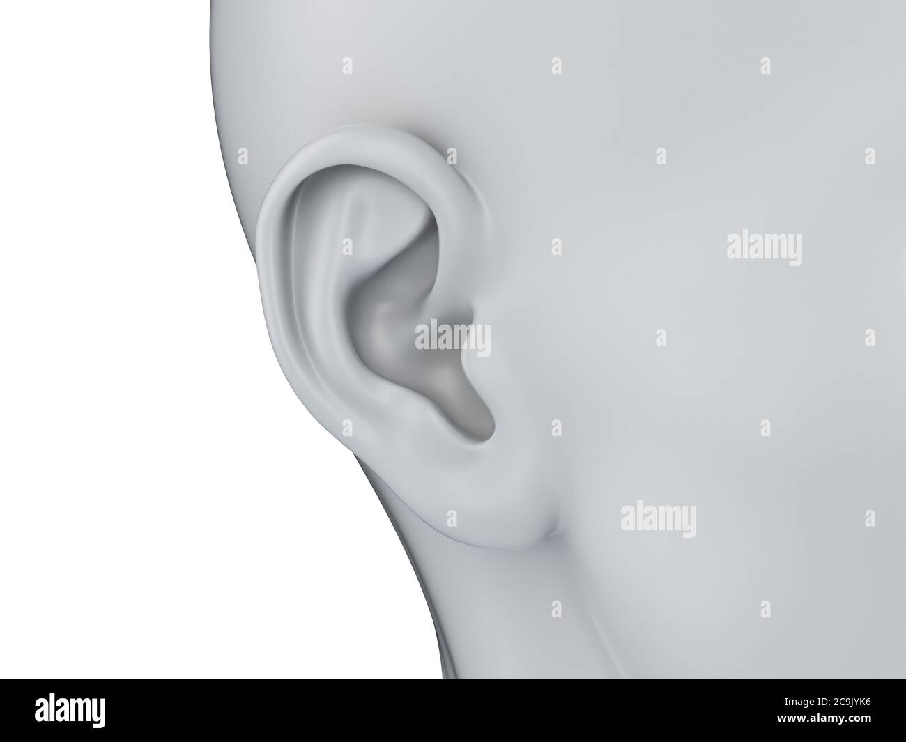 Female ear, illustration Stock Photo - Alamy