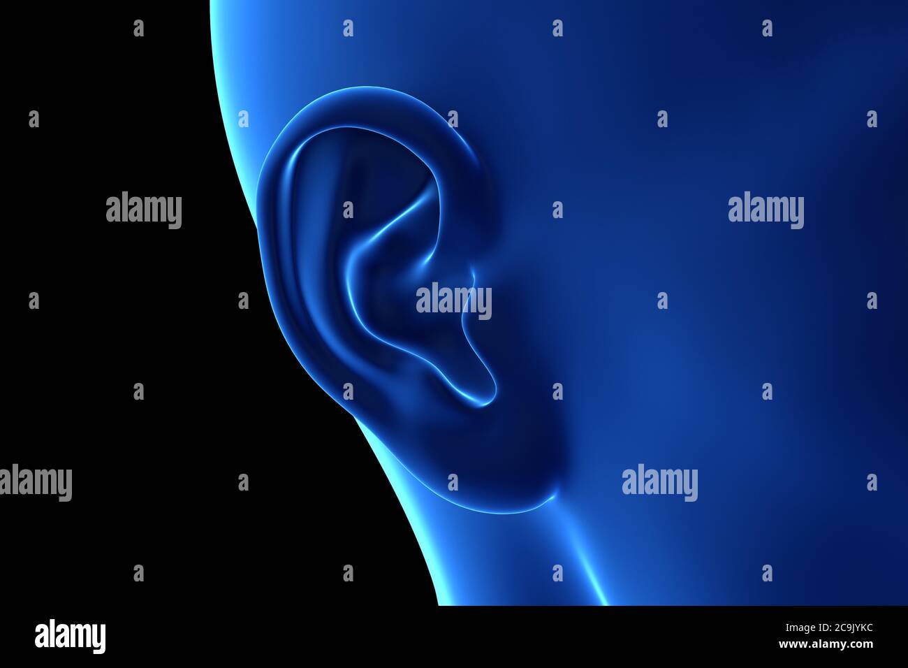 Female ear, illustration Stock Photo - Alamy