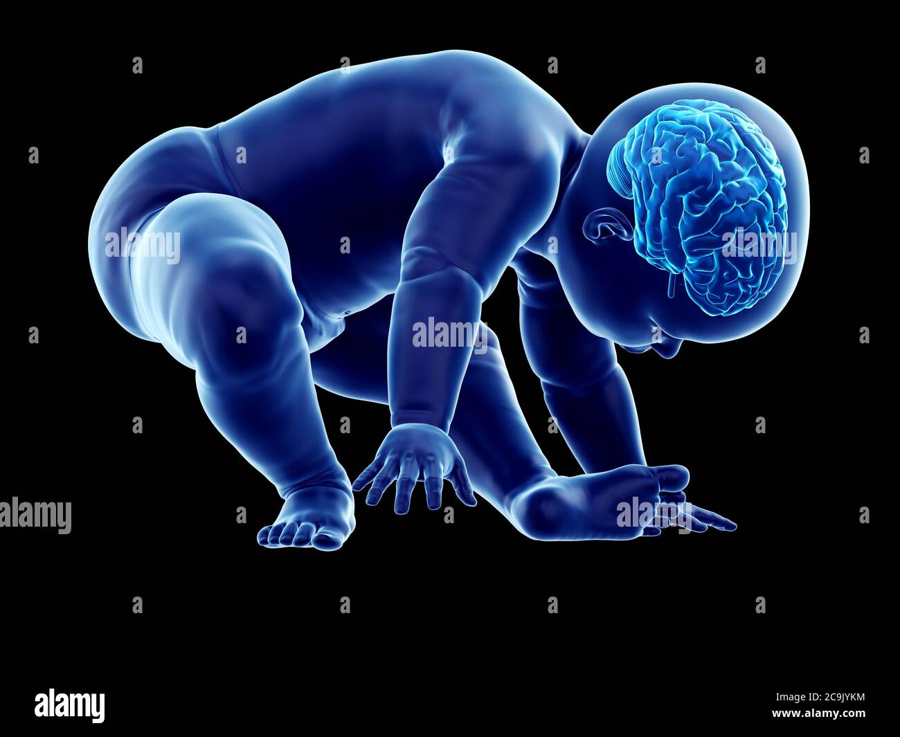 Baby brain development hi-res stock photography and images - Alamy