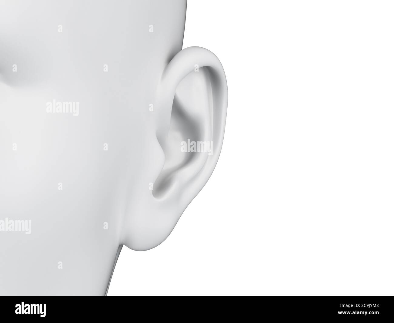 Female ear, illustration Stock Photo - Alamy