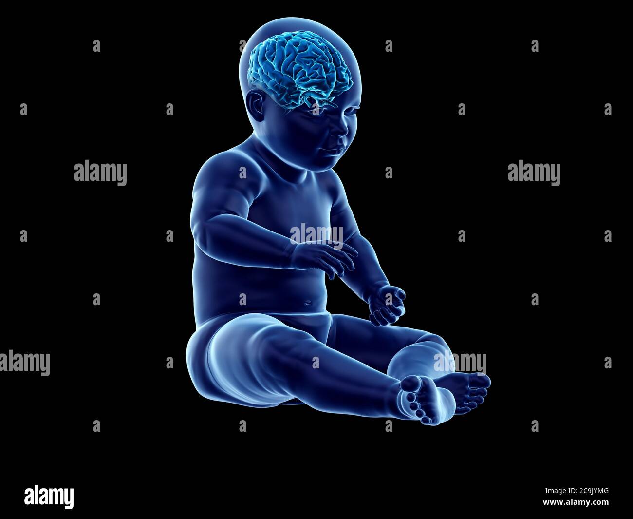 Brain of a baby, illustration Stock Photo - Alamy