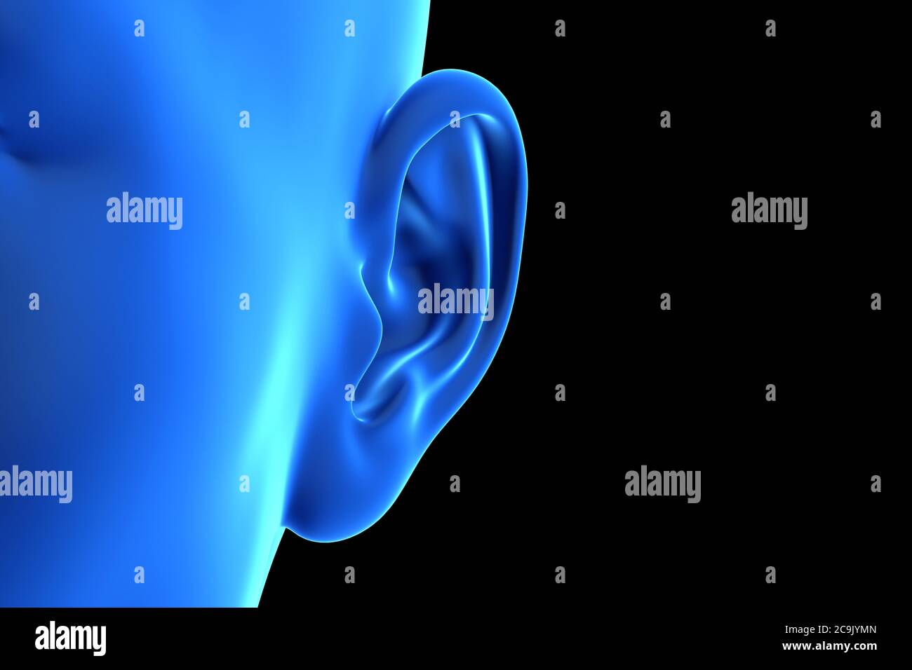 Female ear, illustration Stock Photo - Alamy