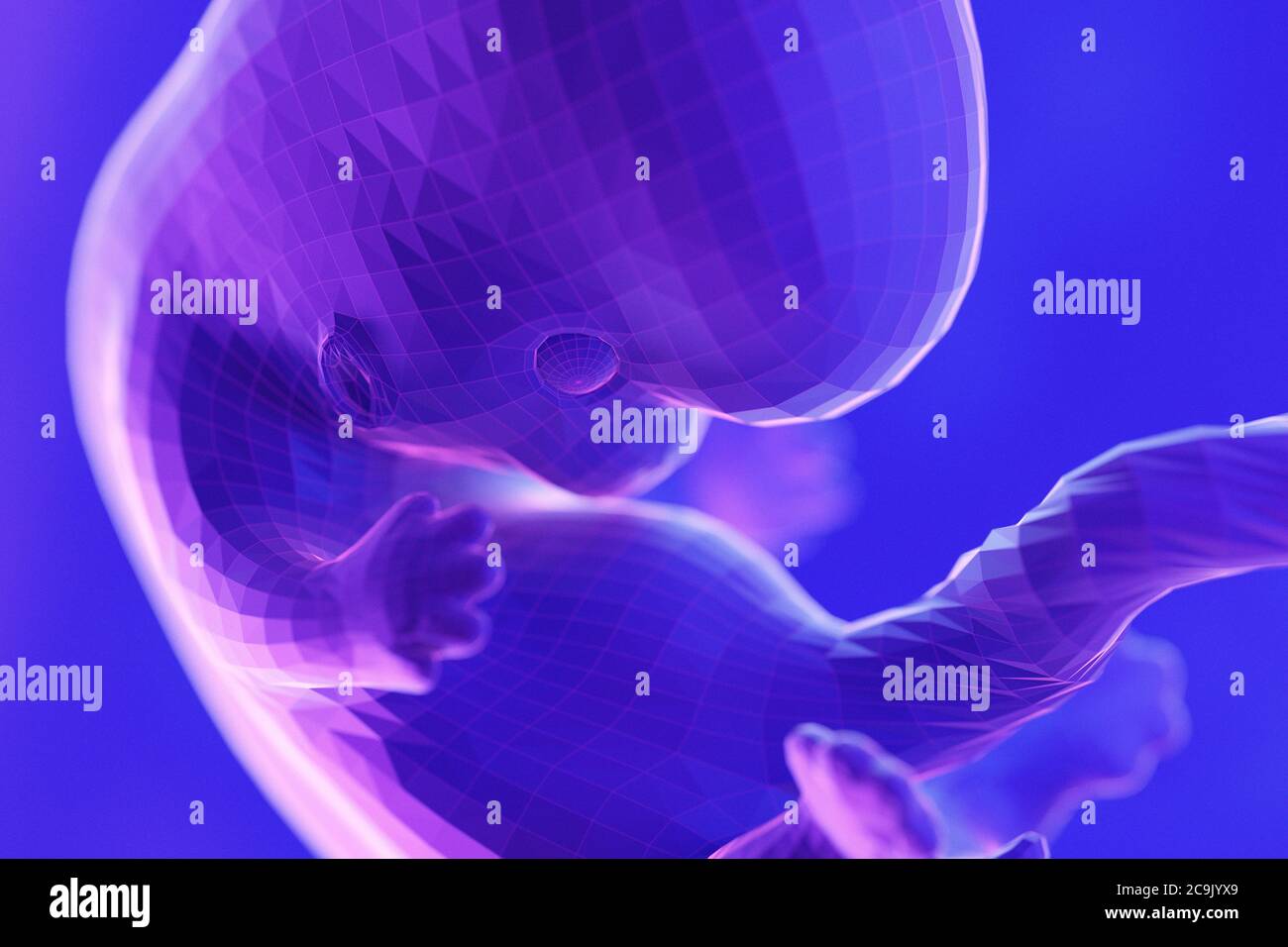Foetus, week 8, illustration Stock Photo - Alamy