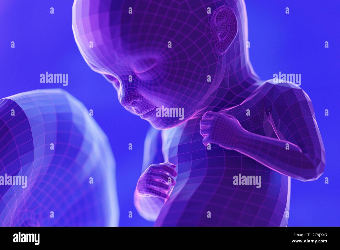 Foetus, week 32, illustration Stock Photo - Alamy