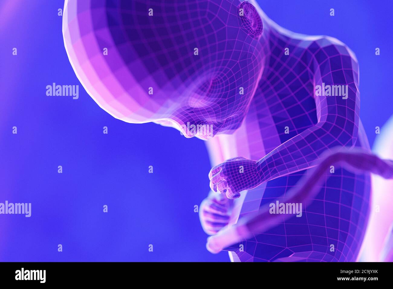 Foetus, week 17, illustration Stock Photo - Alamy