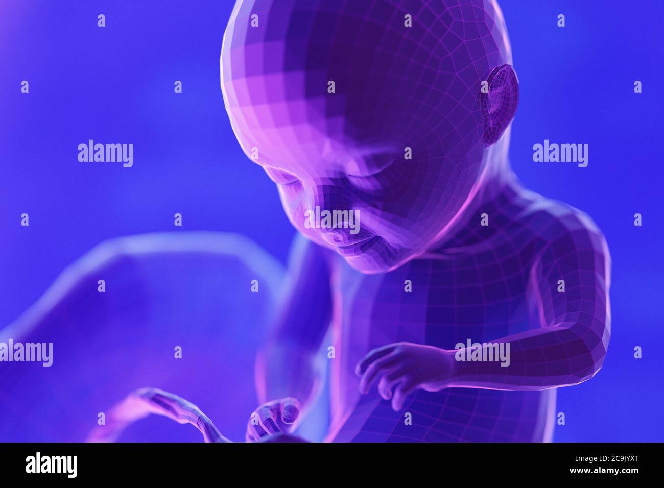Foetus, week 31, illustration Stock Photo - Alamy