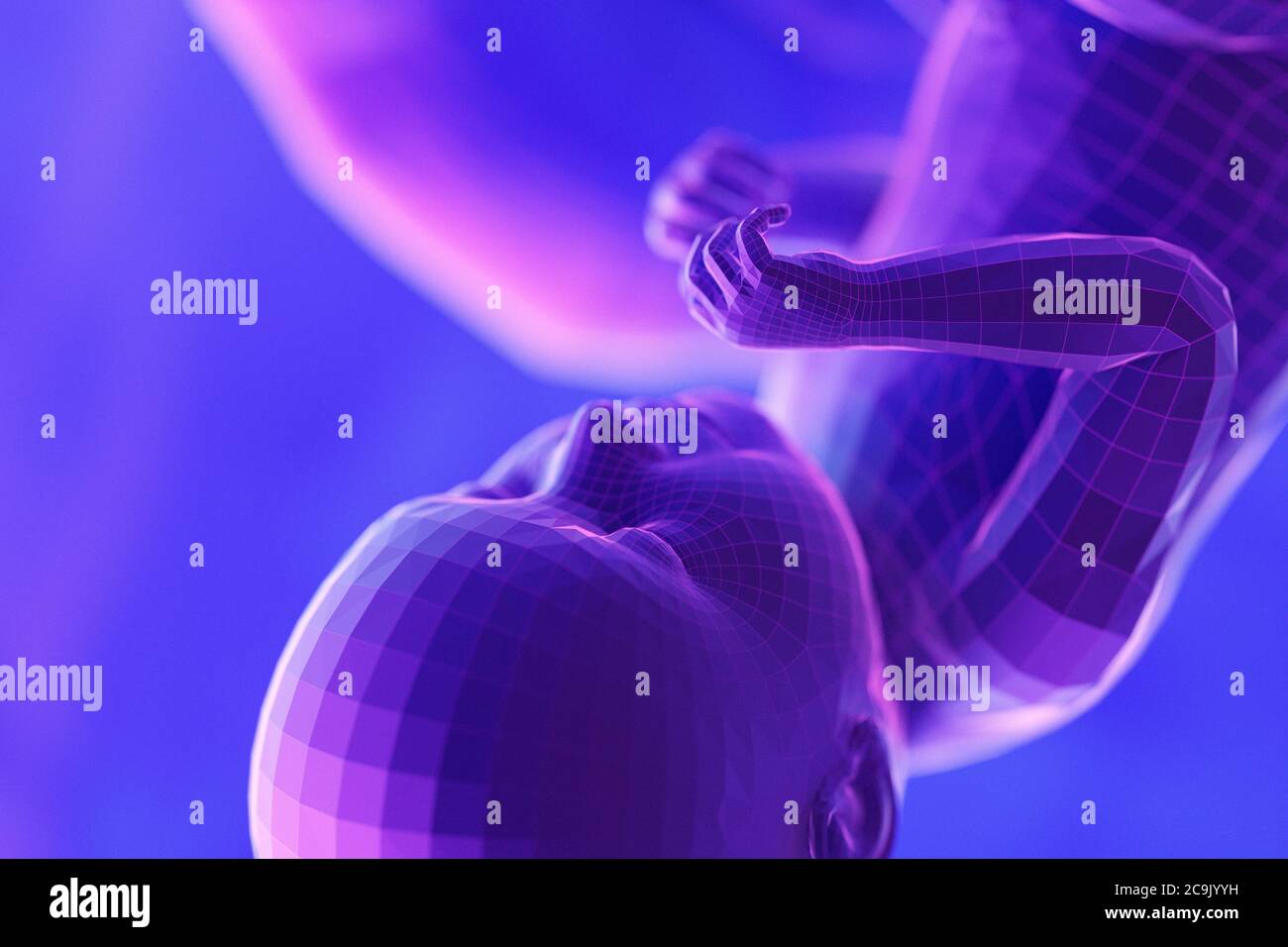 Foetus, week 39, illustration Stock Photo - Alamy