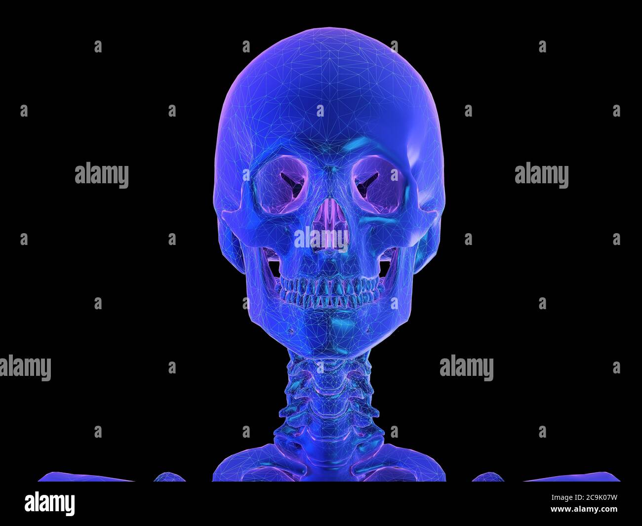 Cyber skeleton hi-res stock photography and images - Alamy