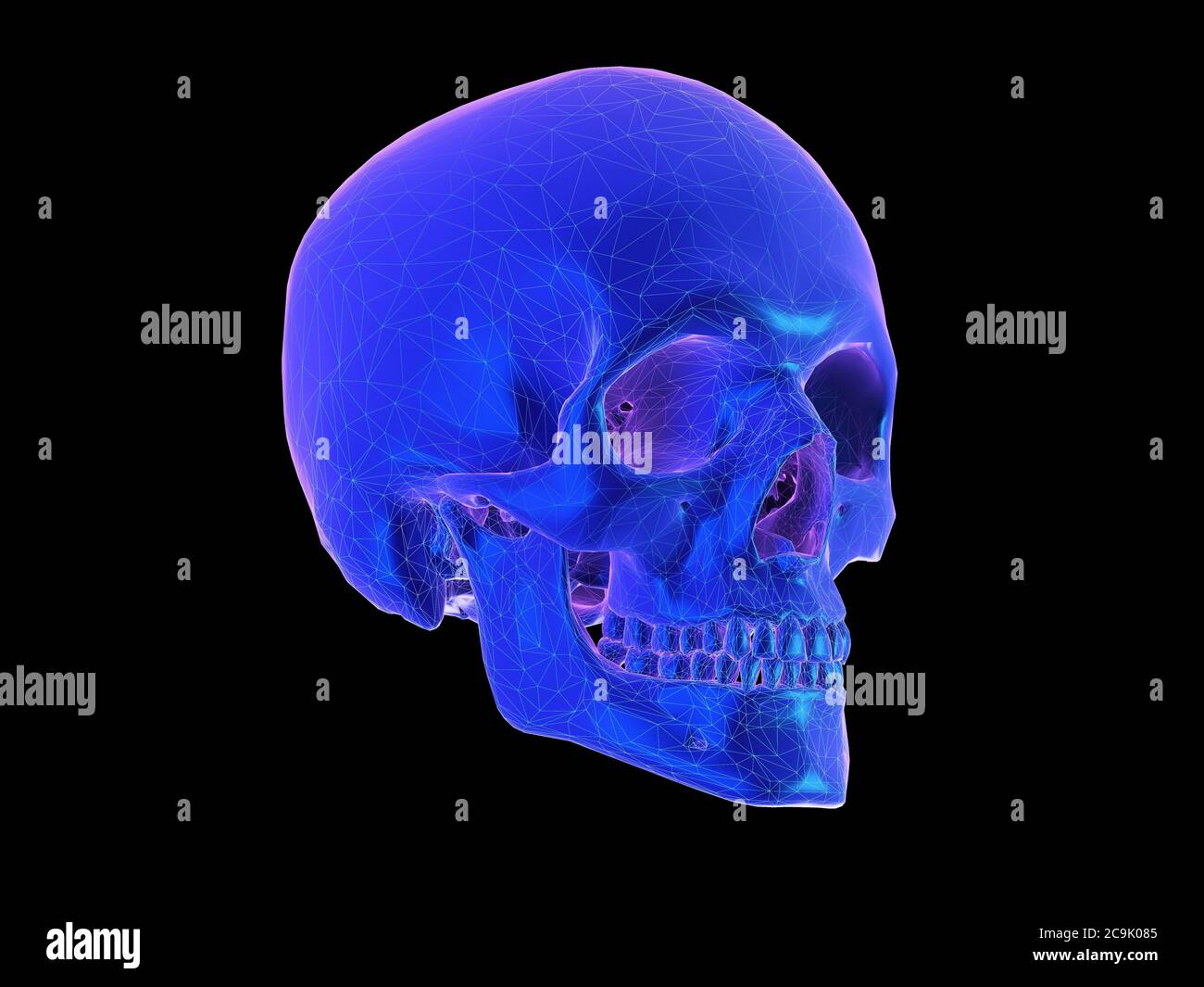 Grid human skull hi-res stock photography and images - Alamy