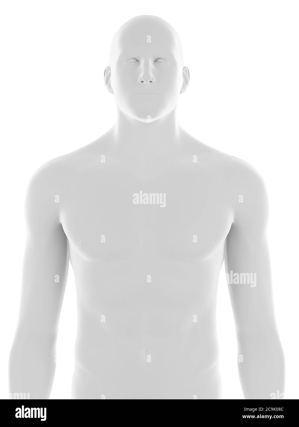 Body male abdomen hi-res stock photography and images - Alamy