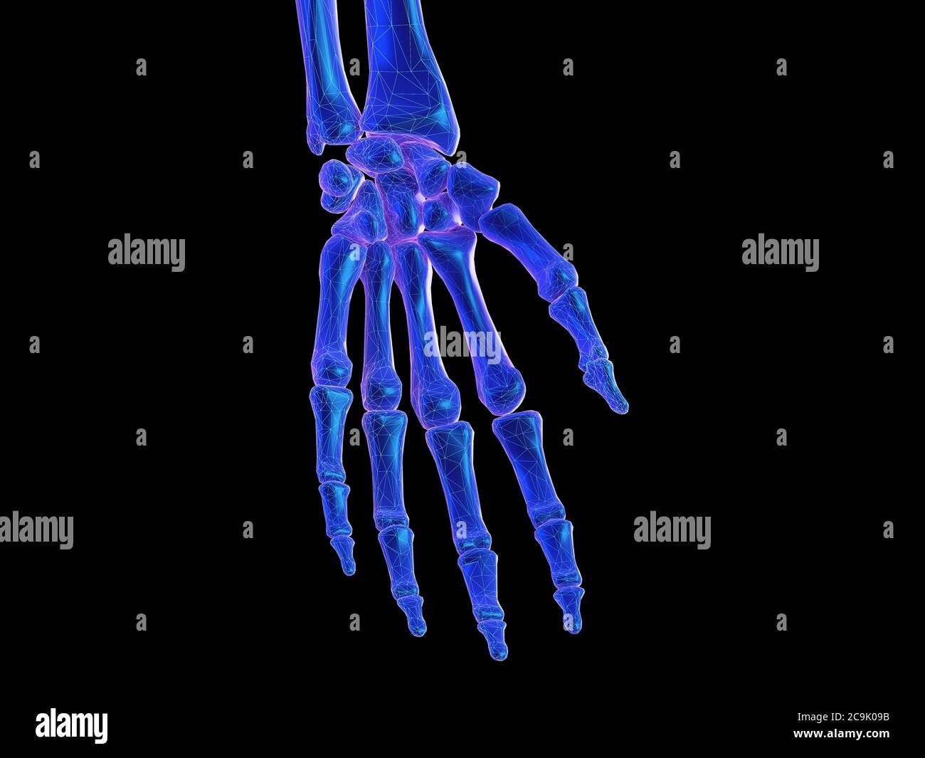Skeletal hand, illustration Stock Photo - Alamy